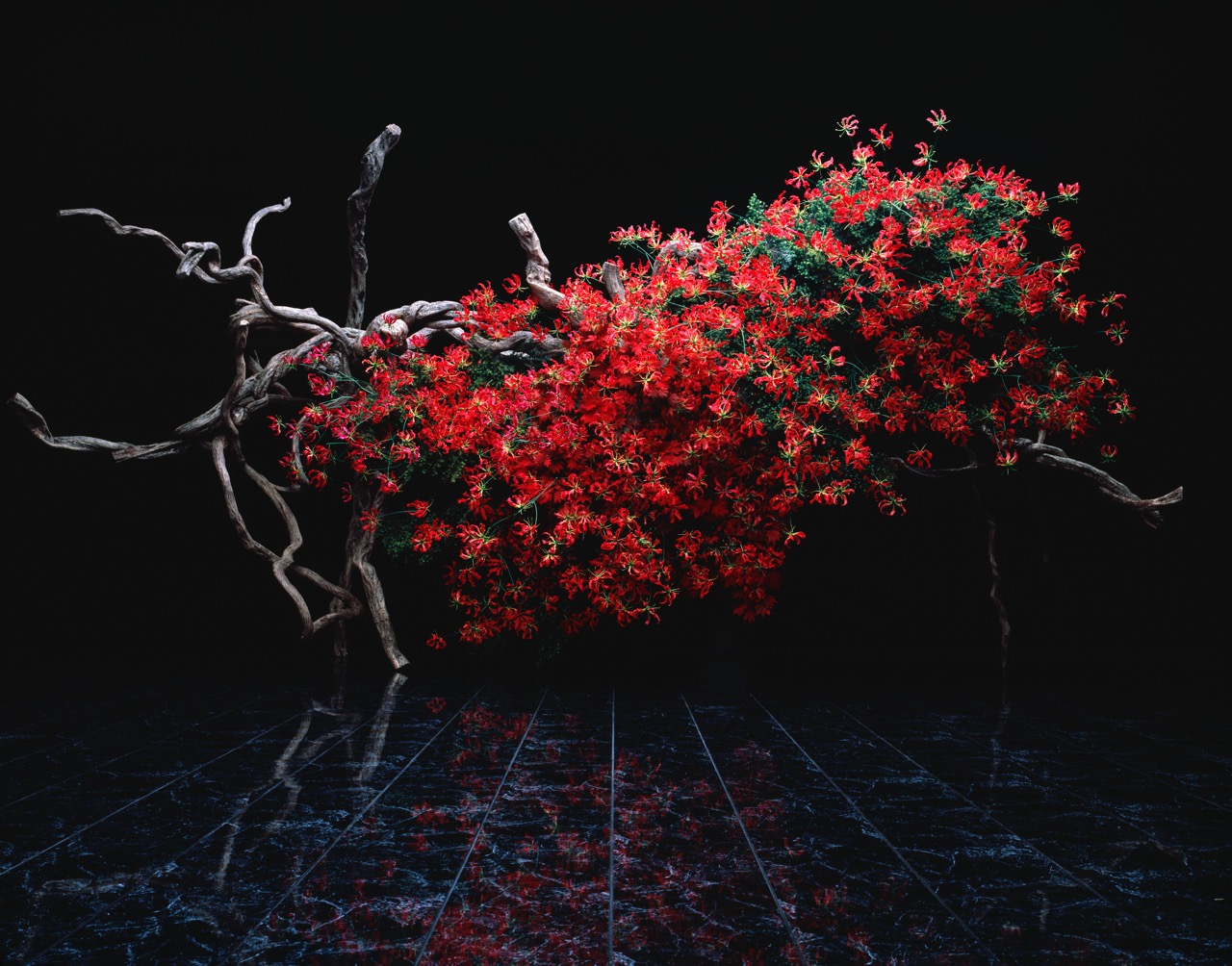 Japanese Flower Dictionary – 15 Extraordinary Flowers and Their ...