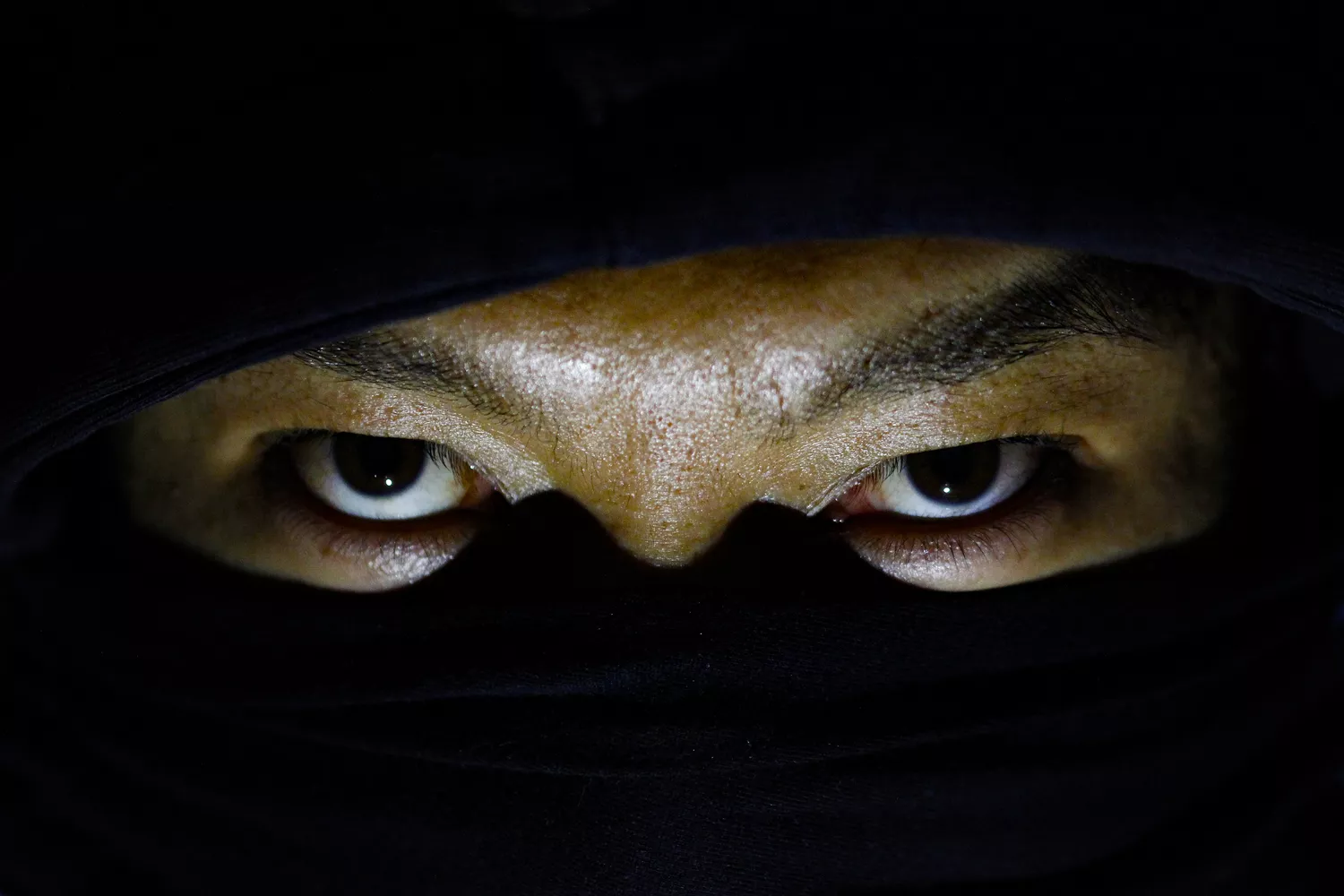 Who Were the Ninja? What is the Philosophy of Ninjitsu? How Did They ...